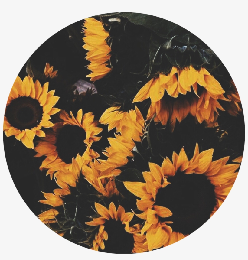 Download Transparent Yellow Sticker - Mustard Yellow Tumblr Wallpaper ...