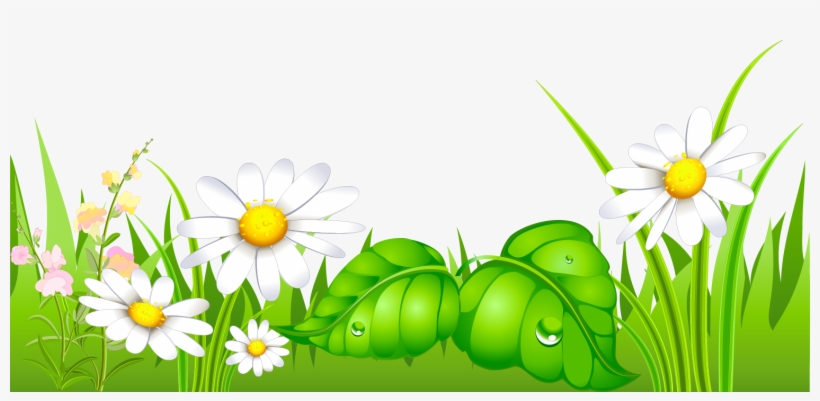 Free Clip Art Daisy Flower Border | Best Flower Site