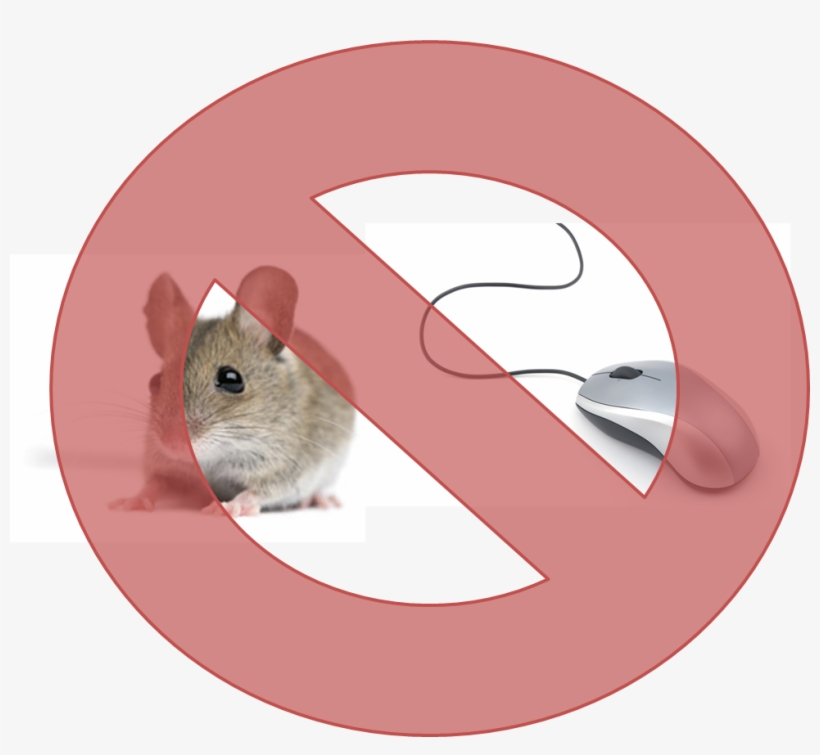 No Mice - Hate Mouse - 977x852 PNG Download - PNGkit
