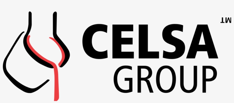 File - Celsa Group - Svg - Celsa Group Logo Png - 1024x402 PNG Download - PNGkit