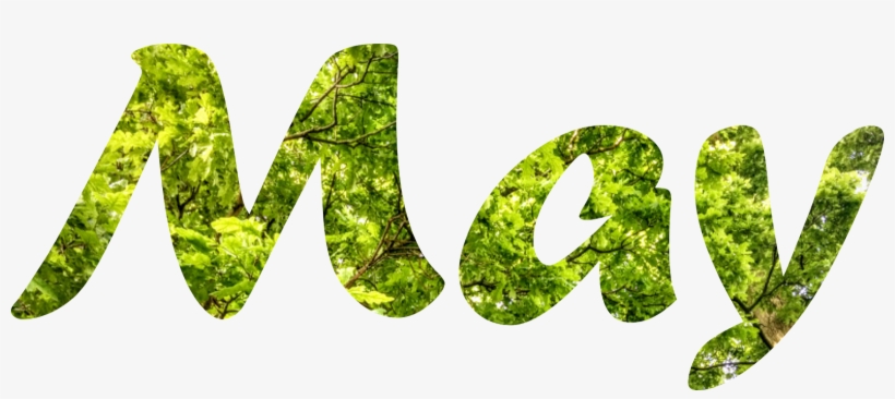Month Of May Clipart