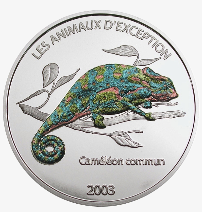 Chameleon Color - Coin - 910x910 PNG Download - PNGkit
