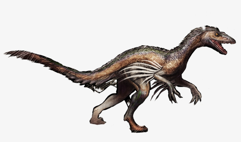 Download Transparent Velociraptor Troodon Survival Evolved ...