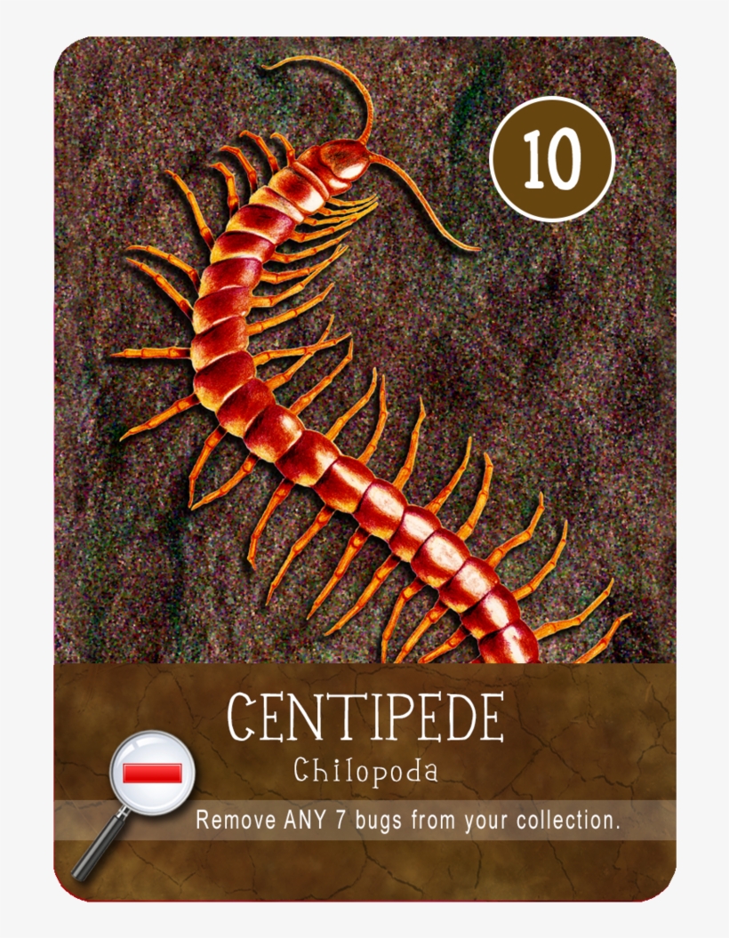 Centipede - 1000x1000 PNG Download - PNGkit