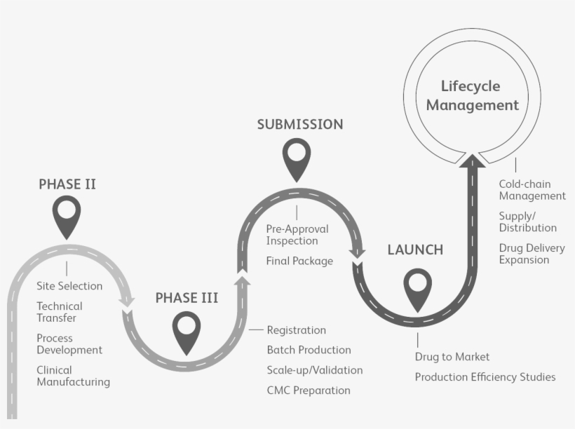 You'll Work With One Dedicated Program Manager Who - Drug Development ...
