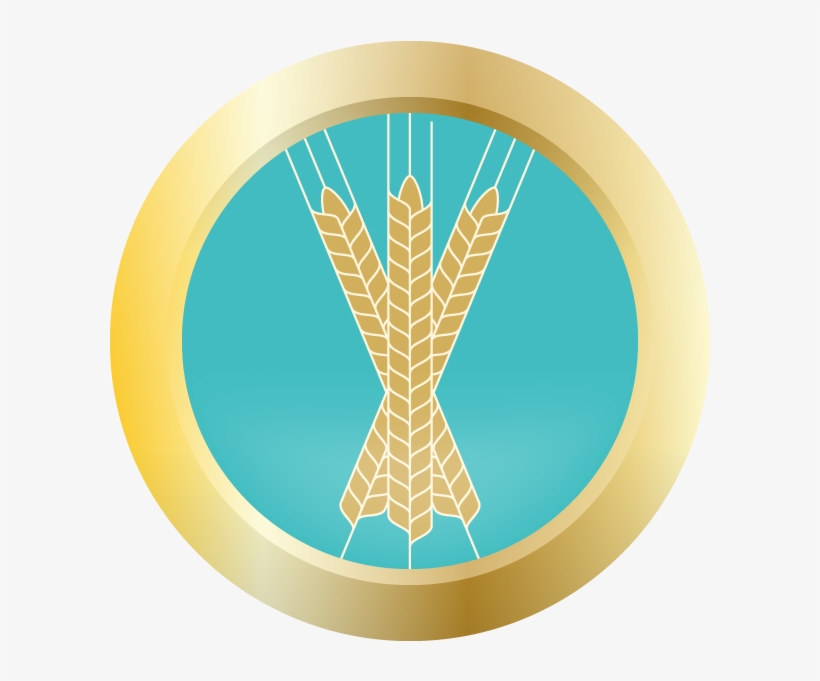 Home >beer Making Recipes >dry Malt Extract Kits > - Circle - 800x600 ...