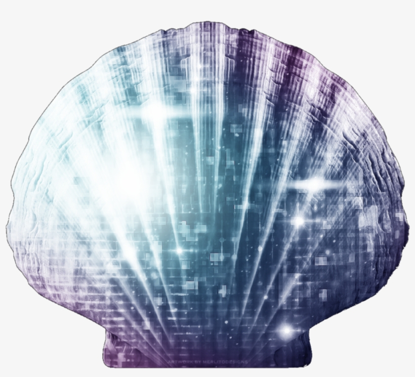 Blue Shell Png - Png Shell - 963x830 PNG Download - PNGkit