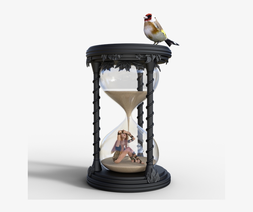 Hourglass Animal - 640x640 PNG Download - PNGkit