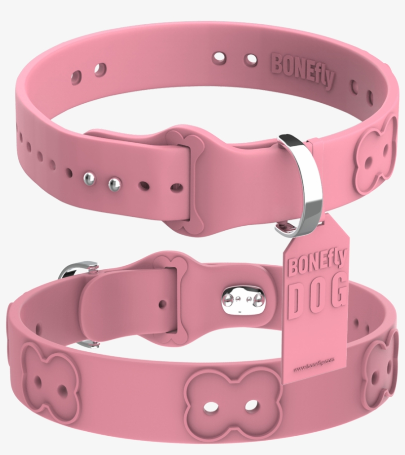 Download Transparent Custom Made Dog - Belt - PNGkit