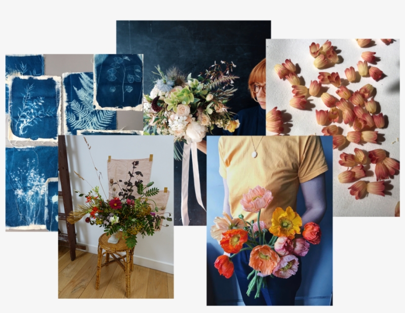 Newsletter Trans Full - Bouquet - 958x715 PNG Download - PNGkit