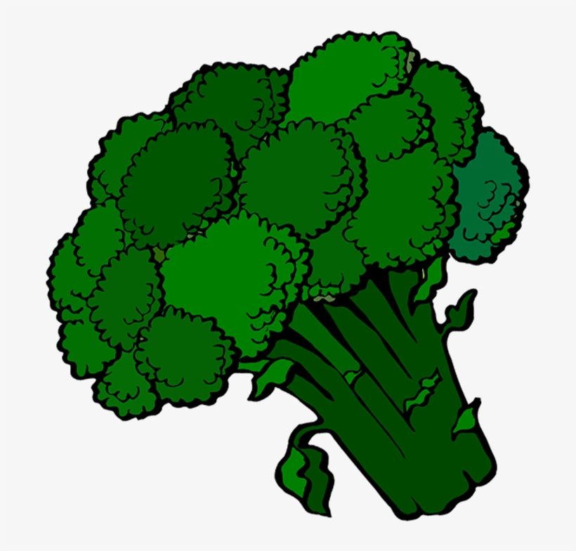 Broccoli Clip Art - 701x720 PNG Download - PNGkit