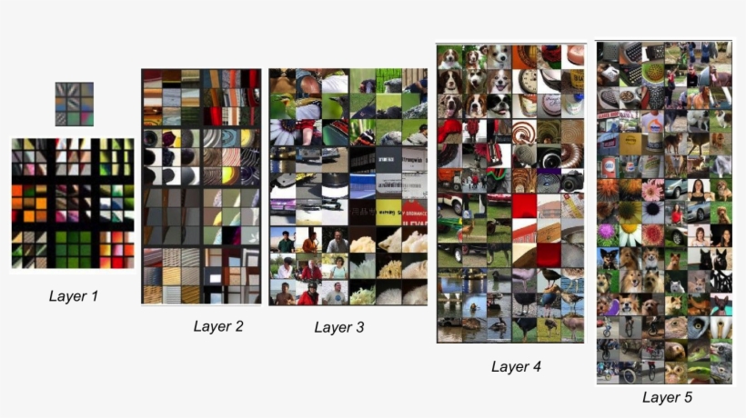Visualizing And Understanding Convolutional Networks, - Visualize ...