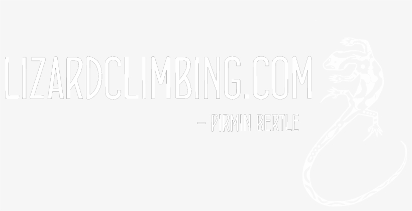Cropped Lizard Pi Weiß 1 - Graphic Design - 2469x1147 PNG Download - PNGkit