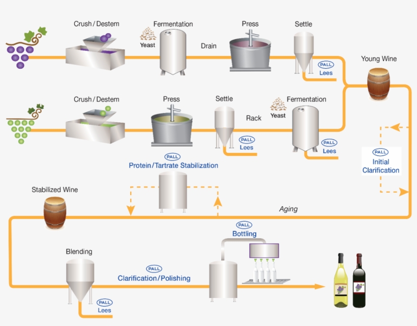 Wine Filtration Process Flow Diagram - Diagram - 1280x946 PNG Download ...