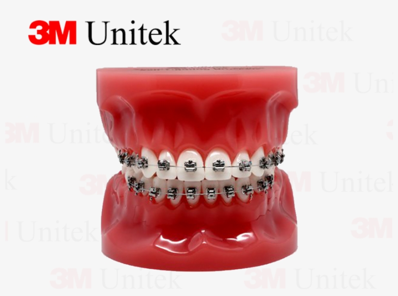 3m Espe - 875x700 PNG Download - PNGkit