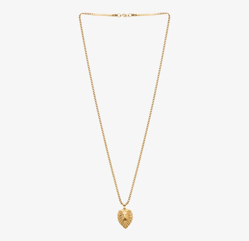 Lion Necklace - Gold - Marcozo - Necklace - 800x800 PNG Download - PNGkit