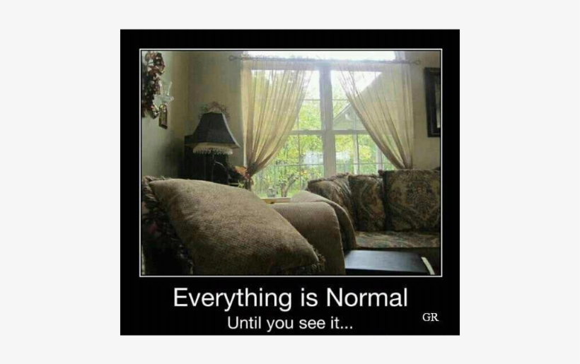 Meme - Pareidolia Scary - 480x762 PNG Download - PNGkit