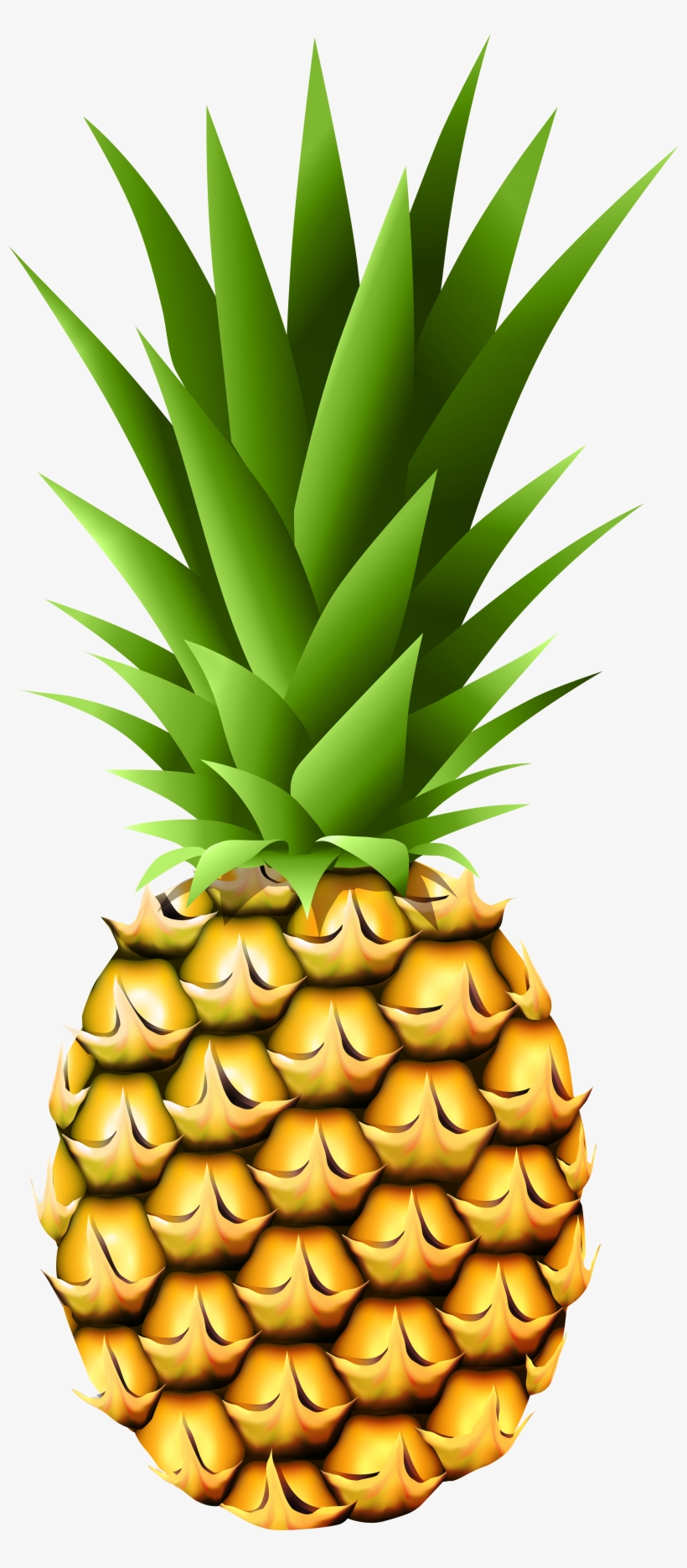 Transparent Png Clip Art - Pineapple Transparent - 3589x8000 PNG ...