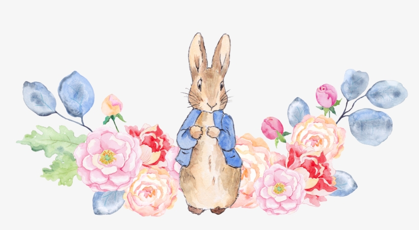 Pion123 - Peter Rabbit Watercolor Elements - 3394x1705 PNG Download ...