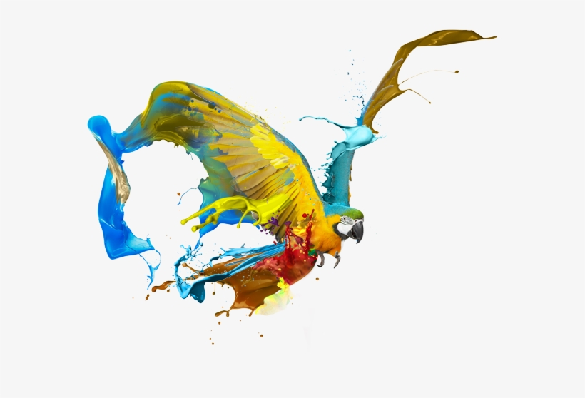 Free Creative Web Design Png - Art Graphic Design Png - 600x536 PNG ...