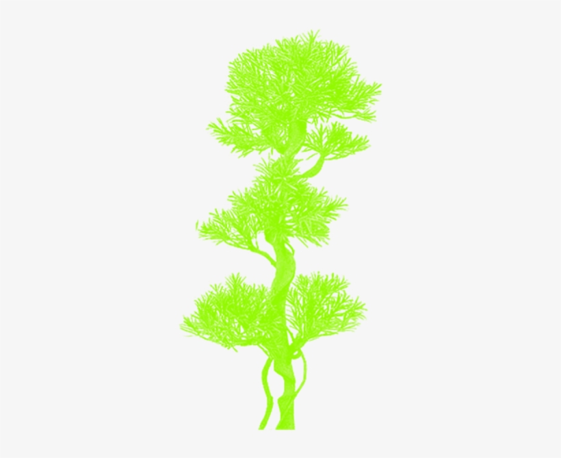 Tree Clipart Vector Cartoon Without Background, Tree - Clip Art ...