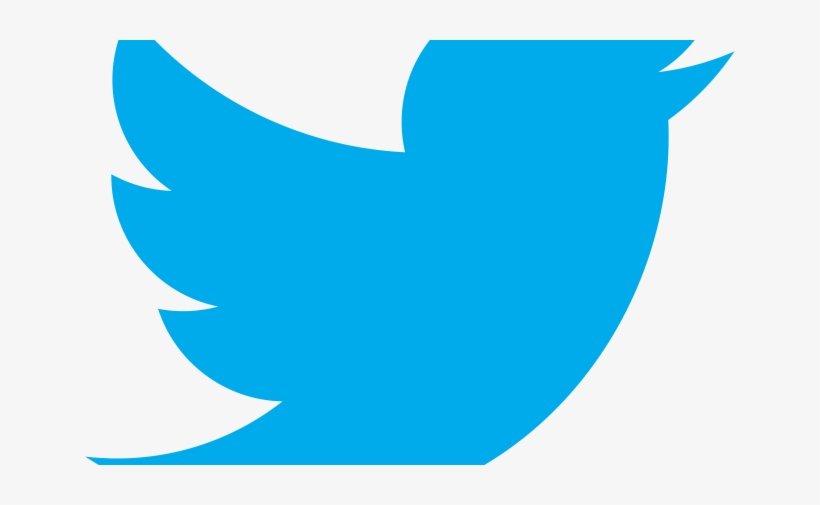 Twitter Logo Vector Grey - 650x425 PNG Download - PNGkit