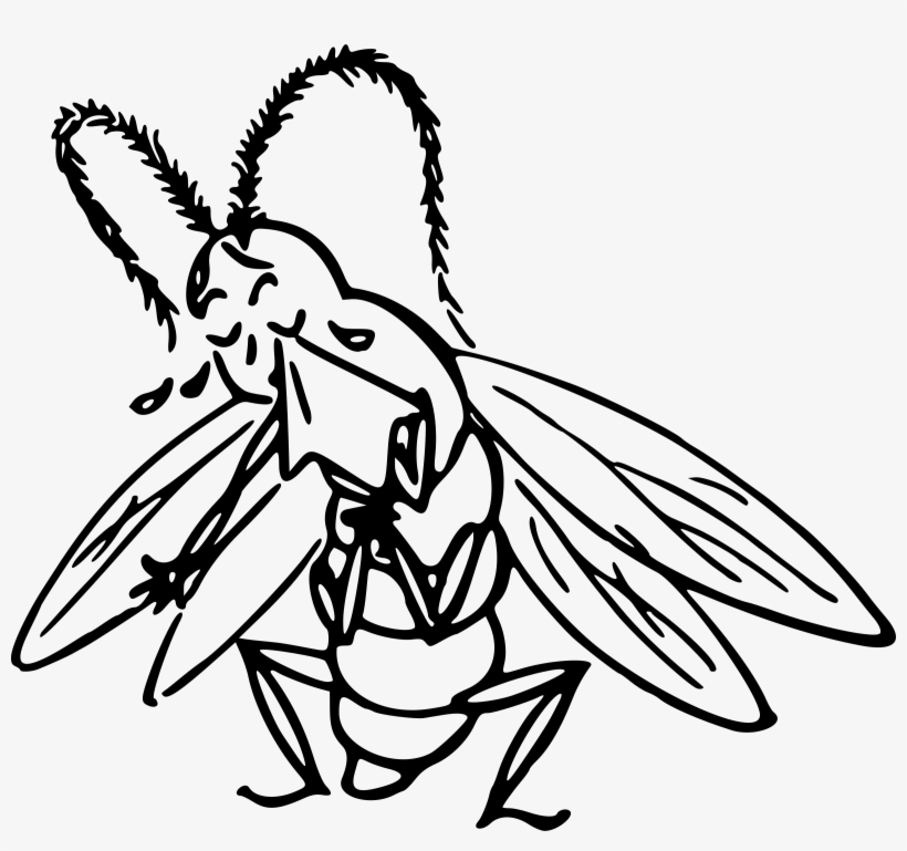 Crying Insect Svg Free - Insecto Llorando - 2400x2134 PNG Download - PNGkit
