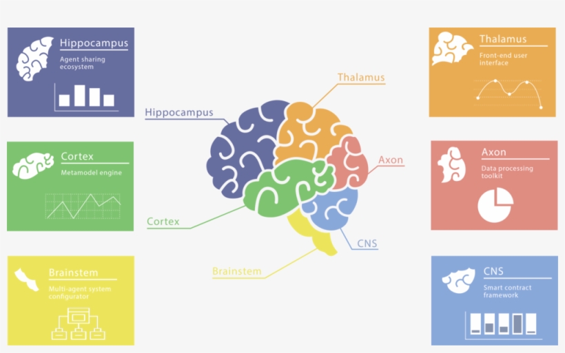 Modular Architecture Inspired By The Brain - Infographics Brain ...