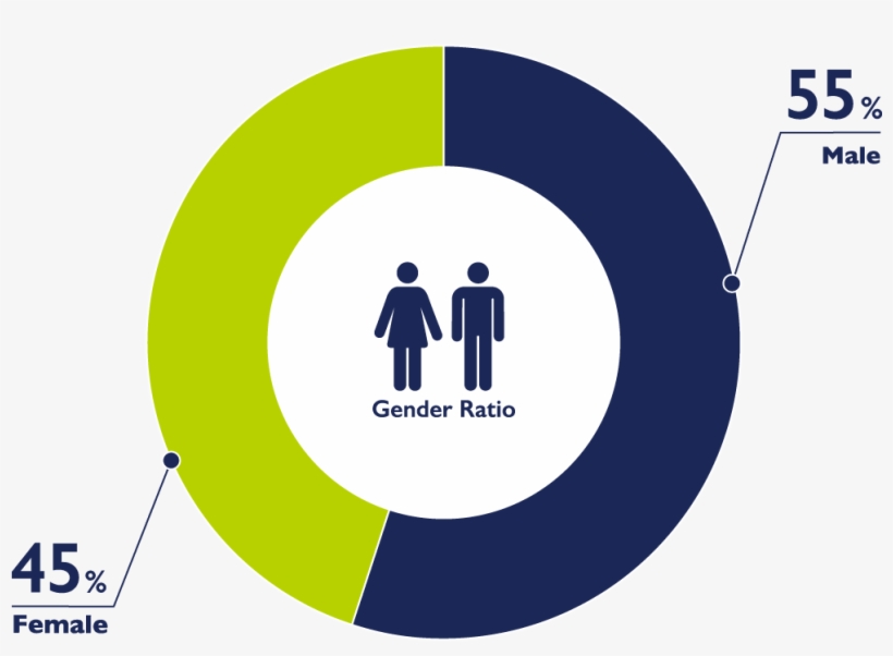 Gender Ratio Of Students - Circle - 1006x685 PNG Download - PNGkit