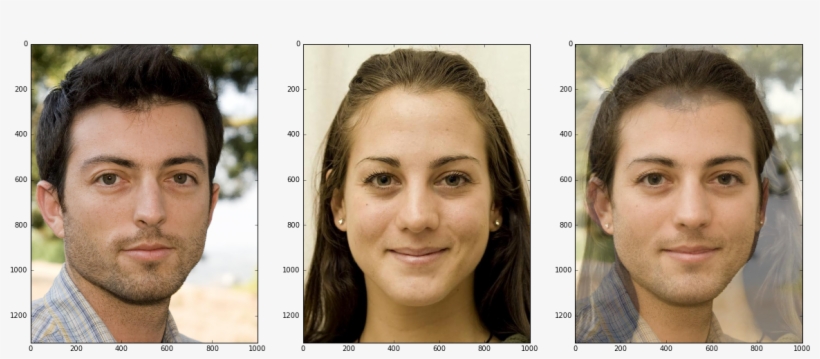 By Matching Correspondences Of Two Faces And Triangulating - Collage ...