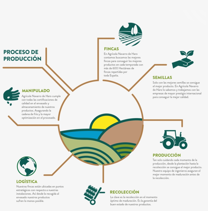 Production Process - 1174x1131 PNG Download - PNGkit