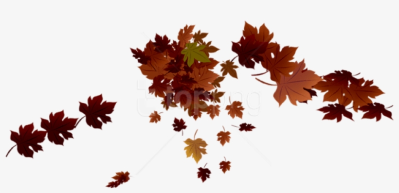 Free Png Download Transparent Red Fall Leaves Clipart - Red Fall Leaves ...