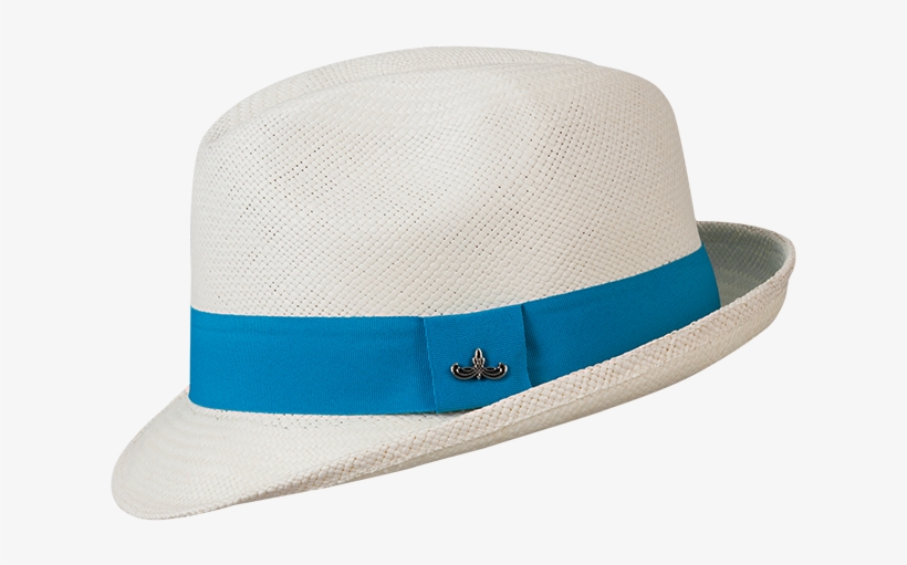 Fedora - 816x600 PNG Download - PNGkit