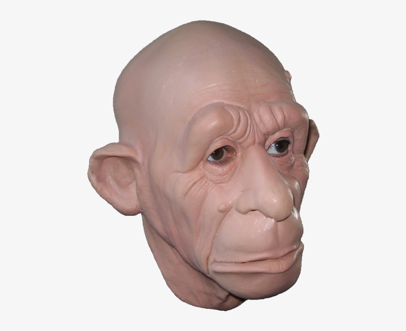 Viejo Cara De Chango - 585x646 PNG Download - PNGkit