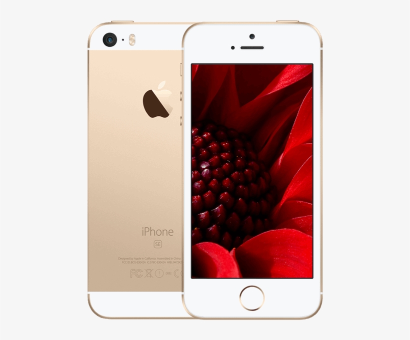 Iphone® Se 16gb - Rose Gold Iphone Se Back - 600x600 PNG Download - PNGkit