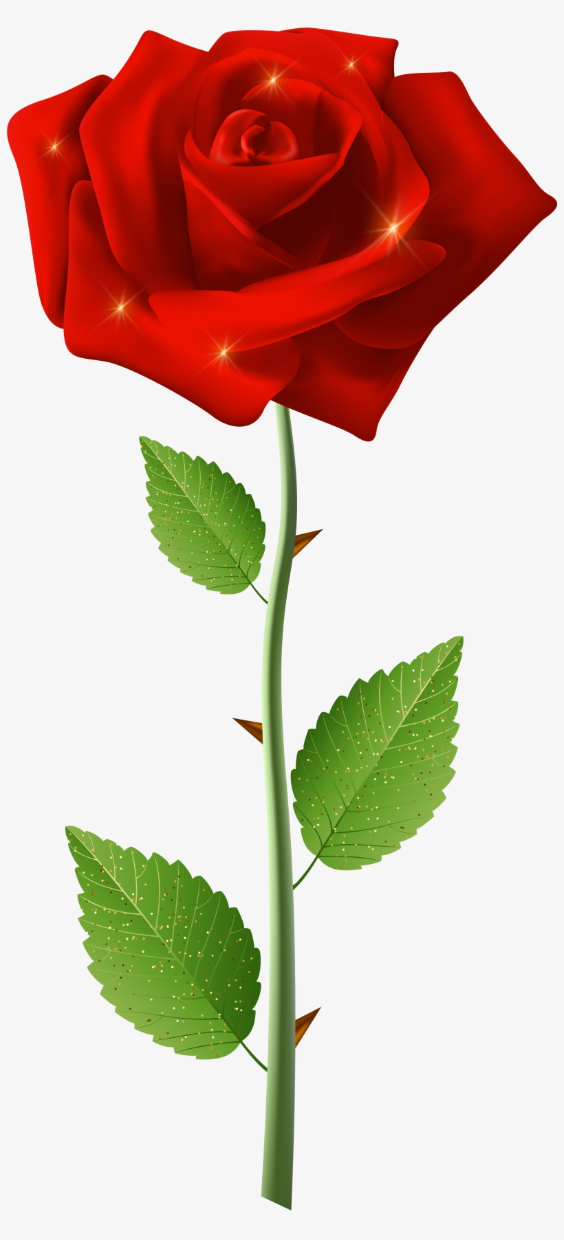 Red Rose With Steam Transparent Image - Hoa Hồng Đỏ Png - 3785x8000 PNG ...