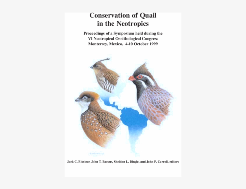 Pdf - Quail - 600x776 PNG Download - PNGkit