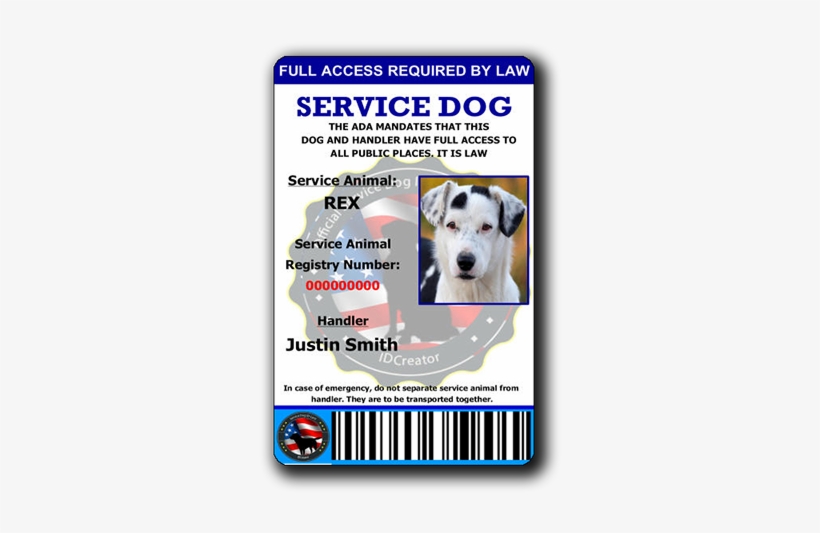 Service Dog - 600x600 PNG Download - PNGkit