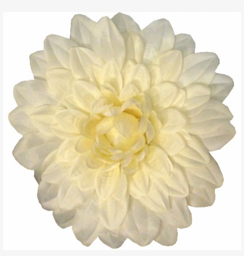 Giant Flower - Ivory Dahlia - Large 35cm - Adhesive - Dahlia - 900x1115 ...