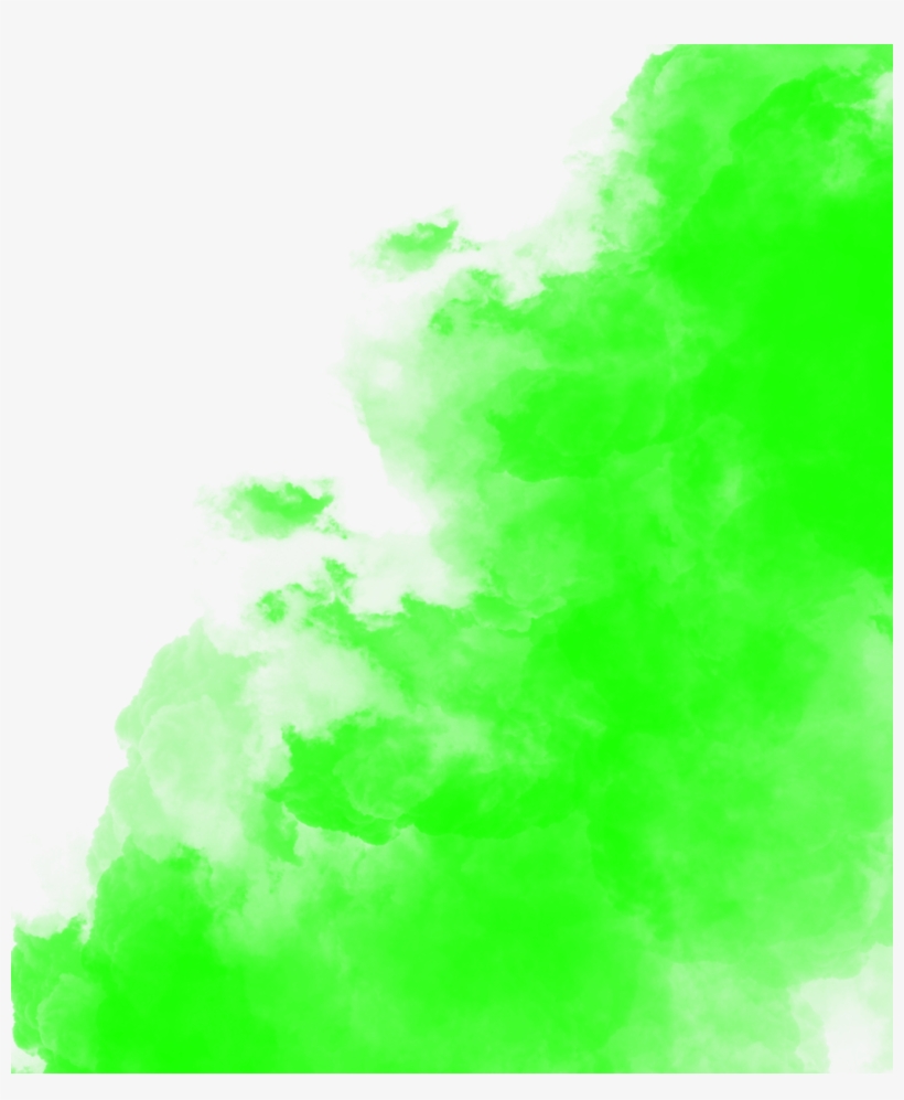 Holi Png - Tree - 1358x1585 PNG Download - PNGkit