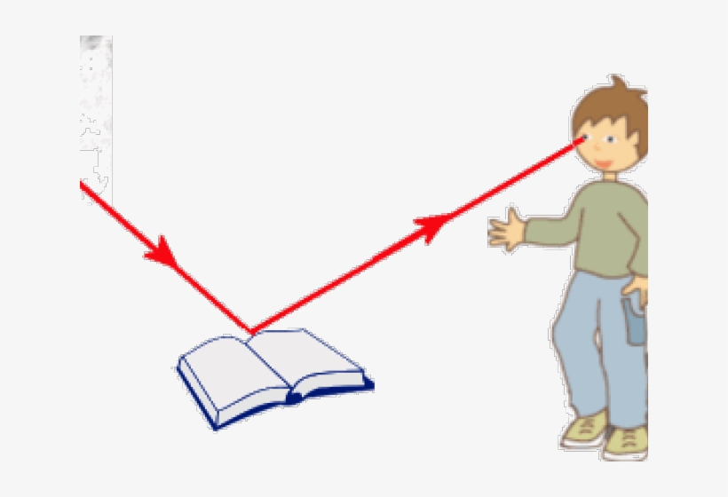 Reflection Clipart Physics Light - Cartoon - 640x480 PNG Download - PNGkit