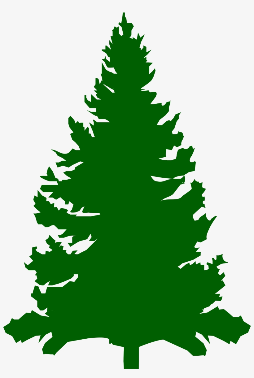 Open - Christmas Tree - 2000x2840 PNG Download - PNGkit