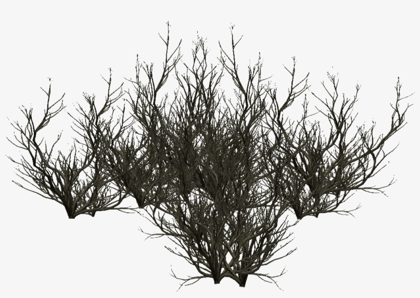 Tree Roots - Silhouette - 1012x1012 PNG Download - PNGkit