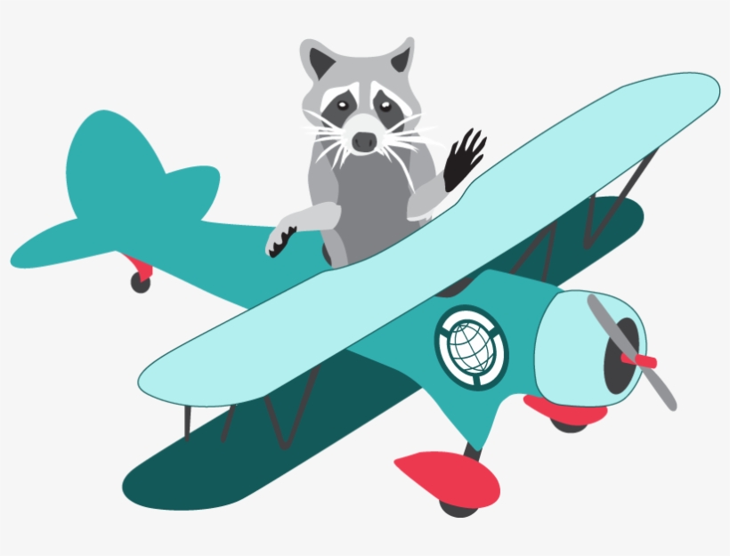 Raccoon Tps - Biplane - 1200x1200 PNG Download - PNGkit