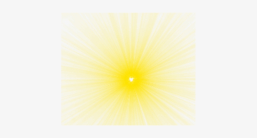 Download Transparent Macro Photography - PNGkit