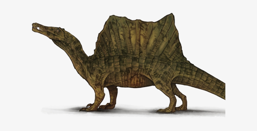 Lesothosaurus - 640x500 PNG Download - PNGkit