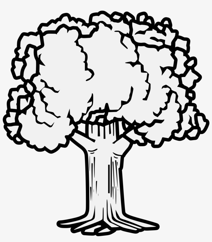 Download Transparent Details, Png - Crest Oak Tree - PNGkit