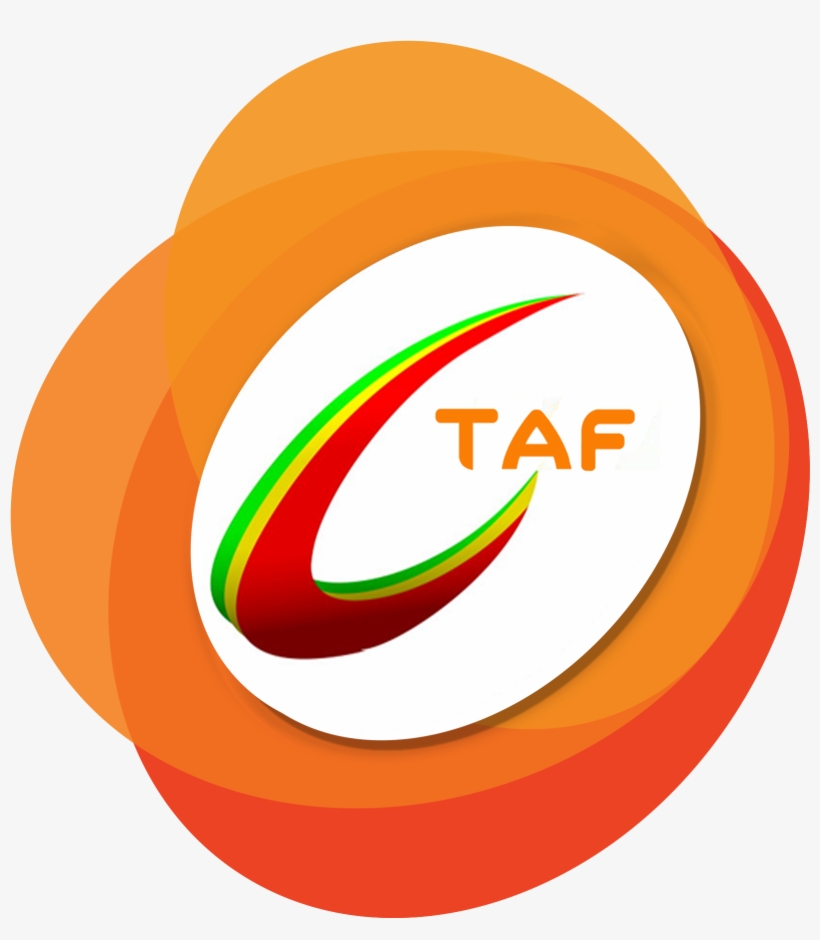 Taf Oil - 2362x2362 PNG Download - PNGkit
