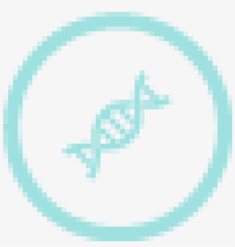 Dna-helix - Circle - 1024x1024 PNG Download - PNGkit