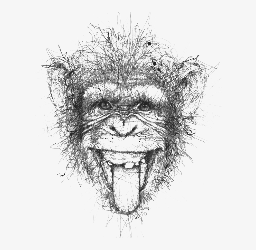 How To Draw A Realistic Monkey Face